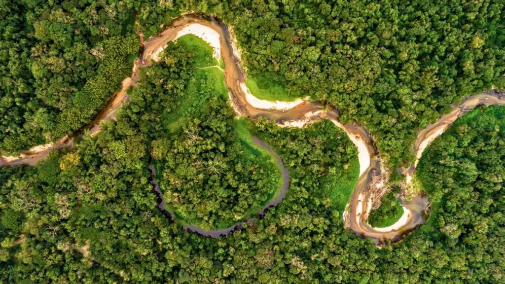 From Brazil to the Amazon Rainforest’s Sky: A Journey into the Heart of ...